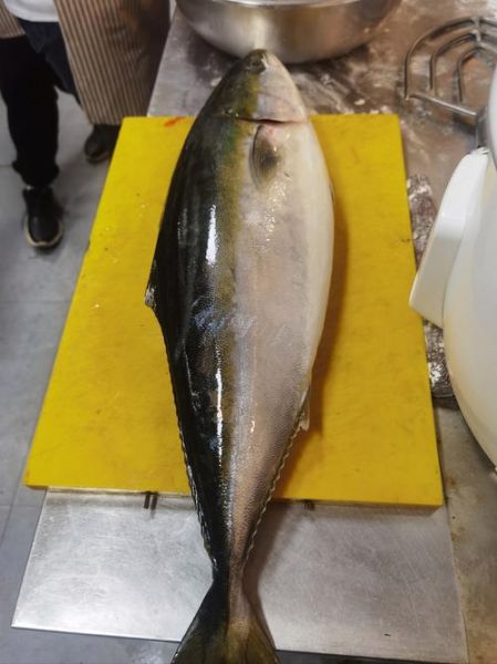 鲑鱼市场价多少钱一斤_如何挑选新鲜鲑鱼-第2张图片-山城妙识 鲑鱼市场价多少钱一斤_如何挑选新鲜鲑鱼-第2张图片-山城妙识