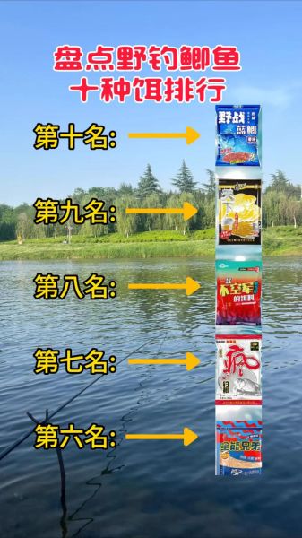 野钓鲫鱼怎么选钓位_野钓用什么饵料最好-第1张图片-山城妙识