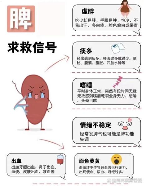 健脾胃祛湿的中成药有哪些_怎么吃才有效-第2张图片-山城妙识