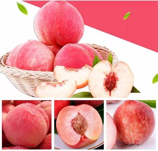 夏天吃什么解暑_夏天适合吃什么水果-第3张图片-山城妙识 夏天吃什么解暑_夏天适合吃什么水果-第3张图片-山城妙识