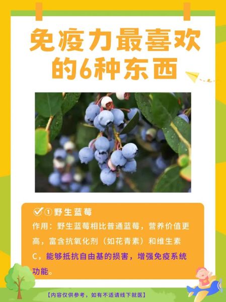 野生蓝莓的功效与作用_野生蓝莓怎么吃效果最好-第1张图片-山城妙识 野生蓝莓的功效与作用_野生蓝莓怎么吃效果最好-第1张图片-山城妙识