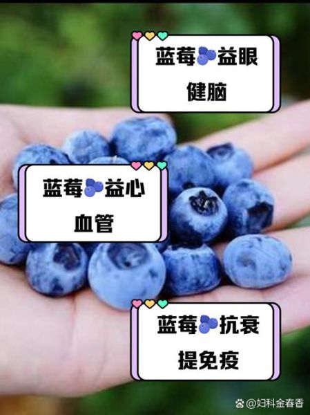 野生蓝莓的功效与作用_野生蓝莓怎么吃效果最好-第2张图片-山城妙识 野生蓝莓的功效与作用_野生蓝莓怎么吃效果最好-第2张图片-山城妙识