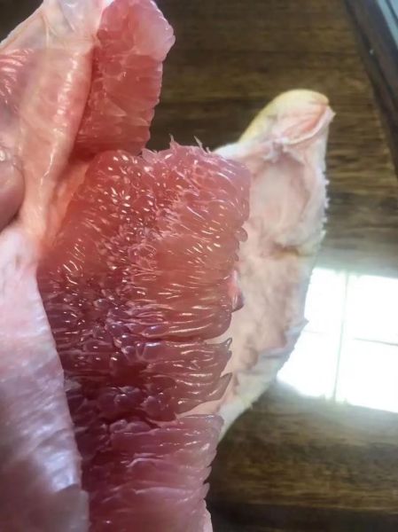 红肉蜜柚怎么挑选_红肉蜜柚营养价值高吗-第2张图片-山城妙识