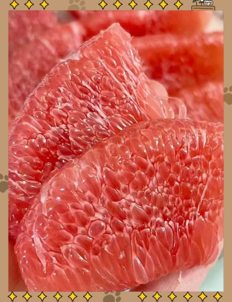 红肉蜜柚怎么挑选_红肉蜜柚营养价值高吗-第3张图片-山城妙识