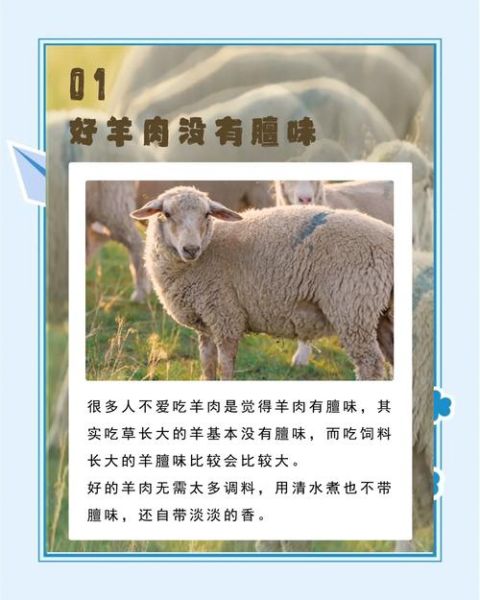 假羊肉片是什么做的_如何辨别假羊肉片-第3张图片-山城妙识 假羊肉片是什么做的_如何辨别假羊肉片-第3张图片-山城妙识