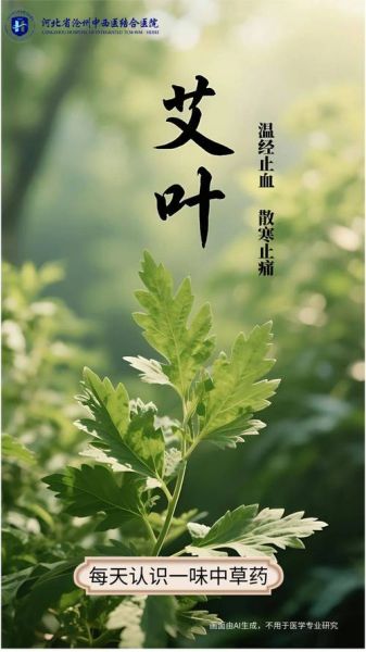 艾叶治痔疮效果好吗_怎么用艾叶治痔疮-第2张图片-山城妙识