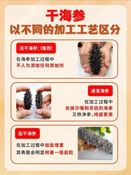 海参价格多少钱一斤_海参为什么这么贵-第2张图片-山城妙识