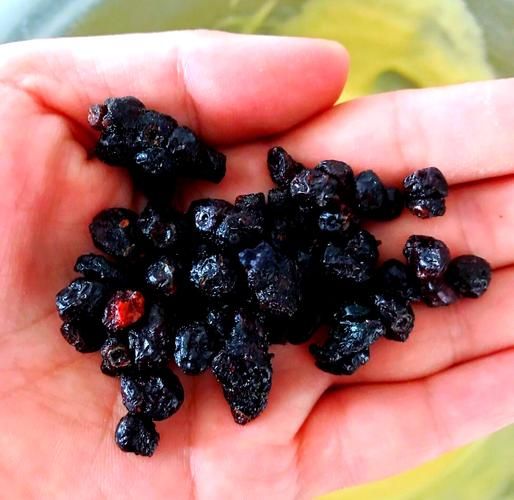 木糖醇蛋糕怎么做_木糖醇蛋糕糖尿病人能吃吗-第2张图片-山城妙识