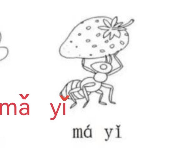 蚂蚁的拼音怎么写_蚂蚁拼音声调标注-第1张图片-山城妙识