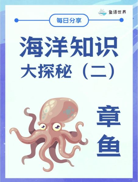 章鱼搜索器怎么用_章鱼搜索器安全吗-第1张图片-山城妙识