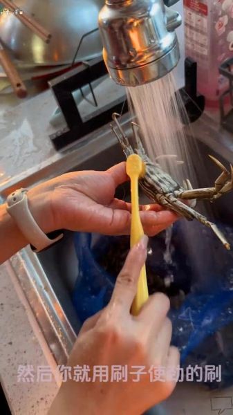 活的大闸蟹怎么清洗_大闸蟹清洗步骤-第3张图片-山城妙识