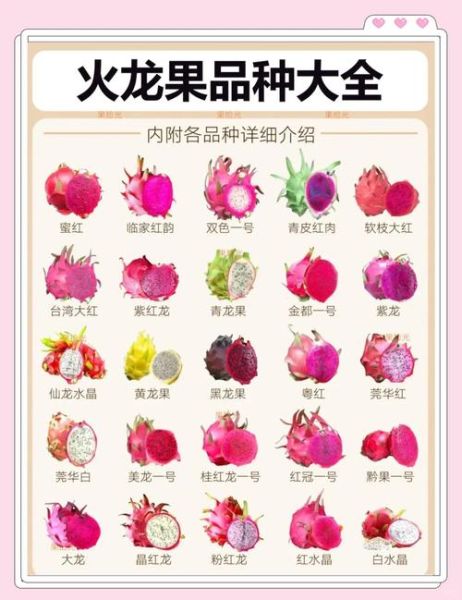 火龙果有什么营养_火龙果的功效与作用-第2张图片-山城妙识