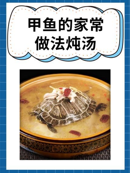甲鱼怎么炖汤好喝_甲鱼的家常做法步骤-第1张图片-山城妙识