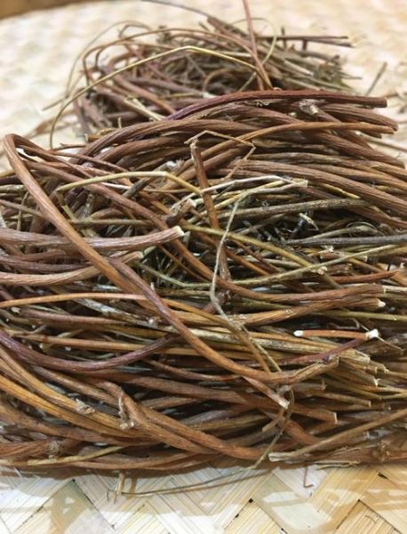 鸡骨草不适合人群有哪些_孕妇能吃吗-第2张图片-山城妙识 鸡骨草不适合人群有哪些_孕妇能吃吗-第2张图片-山城妙识