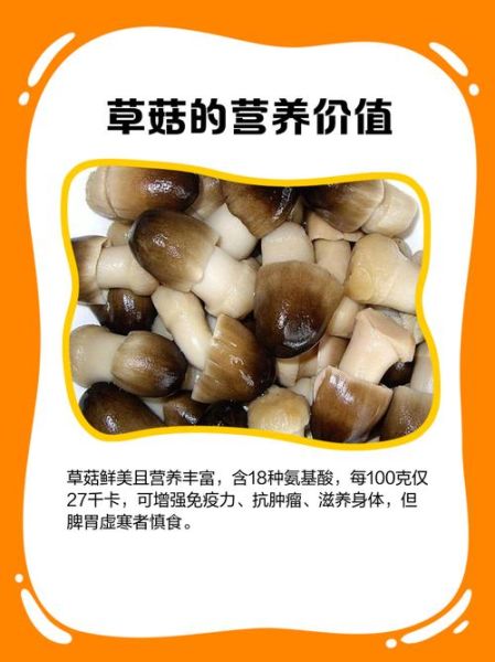 草菇怎么清洗_草菇清洗方法图解-第2张图片-山城妙识