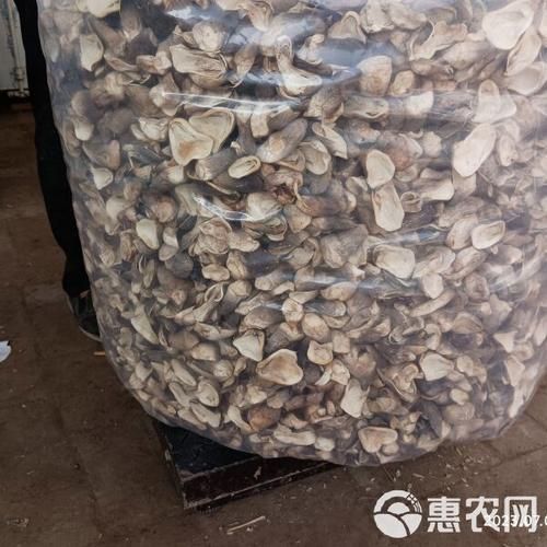 草菇怎么清洗_草菇清洗方法图解-第1张图片-山城妙识