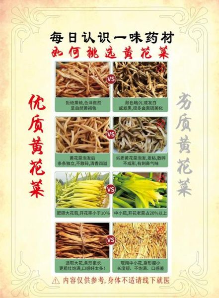 金针菜的功效与作用禁忌_什么人不能吃-第1张图片-山城妙识 金针菜的功效与作用禁忌_什么人不能吃-第1张图片-山城妙识