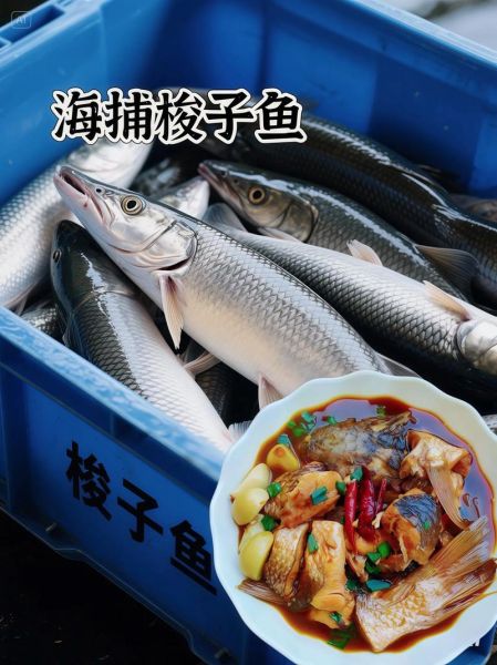 鲜梭鱼怎么做好吃_鲜梭鱼的家常做法-第1张图片-山城妙识