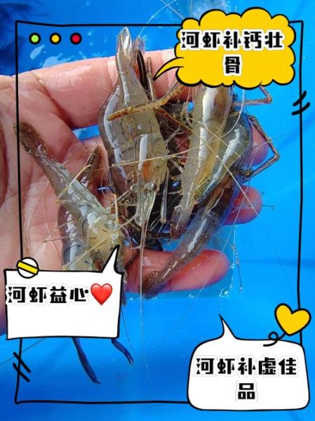 河虾长什么样_河虾外形特征-第2张图片-山城妙识 河虾长什么样_河虾外形特征-第2张图片-山城妙识