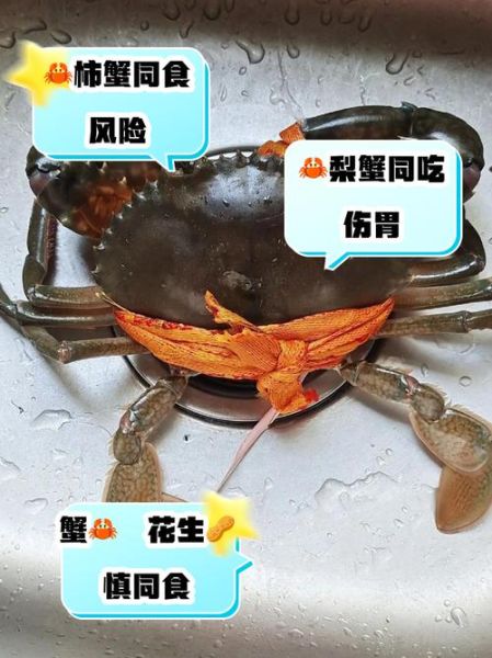 螃蟹不能和什么一起吃_吃螃蟹的禁忌-第3张图片-山城妙识 螃蟹不能和什么一起吃_吃螃蟹的禁忌-第3张图片-山城妙识