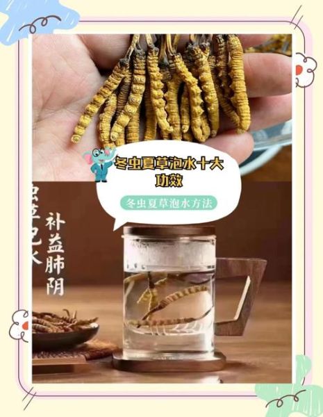 冬虫夏草泡水喝一次泡几根_用量正确吗-第2张图片-山城妙识 冬虫夏草泡水喝一次泡几根_用量正确吗-第2张图片-山城妙识
