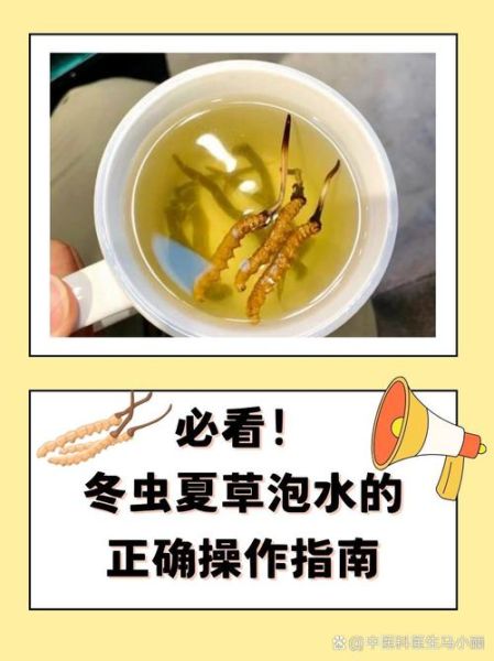 冬虫夏草泡水喝一次泡几根_用量正确吗-第1张图片-山城妙识 冬虫夏草泡水喝一次泡几根_用量正确吗-第1张图片-山城妙识