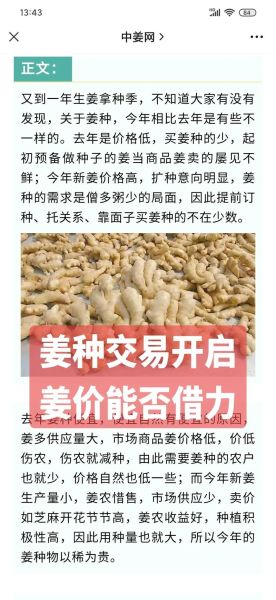 生姜价格行情_生姜最新价格是多少-第3张图片-山城妙识 生姜价格行情_生姜最新价格是多少-第3张图片-山城妙识