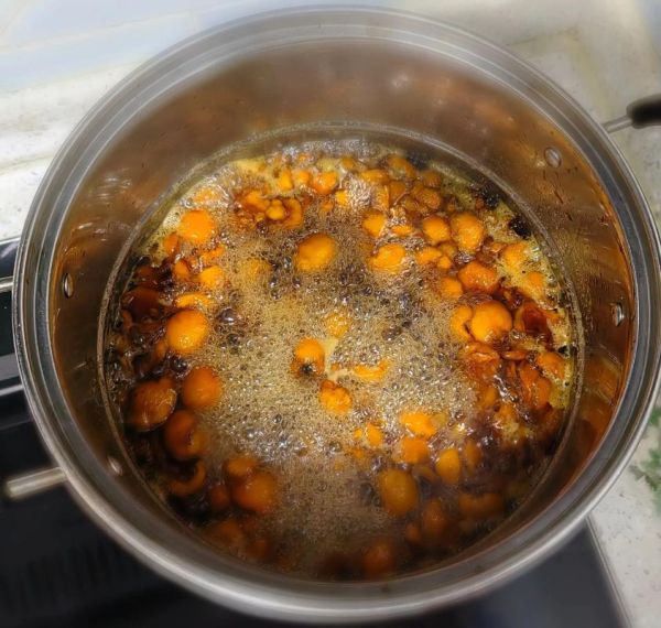 自制枇杷膏能保存多久_如何延长保质期-第3张图片-山城妙识