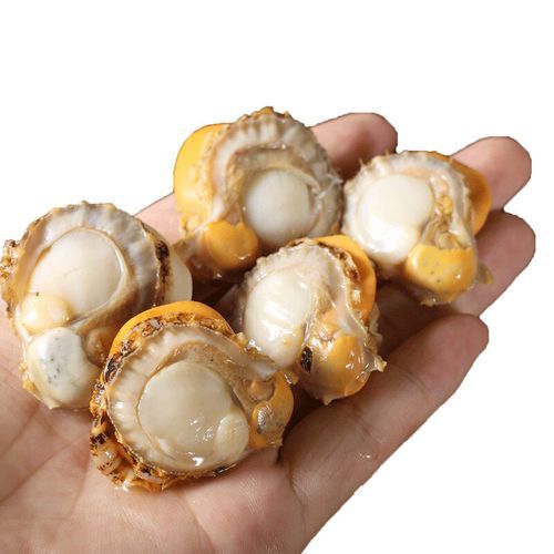 冷冻扇贝肉怎么处理干净_冷冻扇贝肉清洗去沙技巧-第2张图片-山城妙识