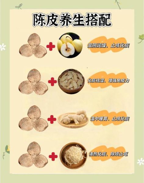 养生茶搭配表_怎么喝才有效-第2张图片-山城妙识