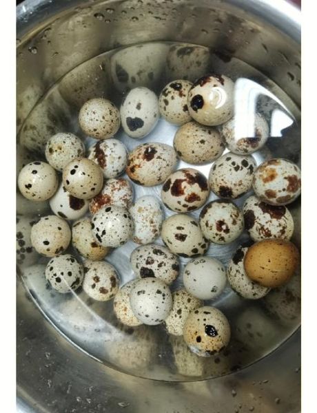盐焗鹌鹑蛋怎么做_盐焗鹌鹑蛋的做法大全-第1张图片-山城妙识