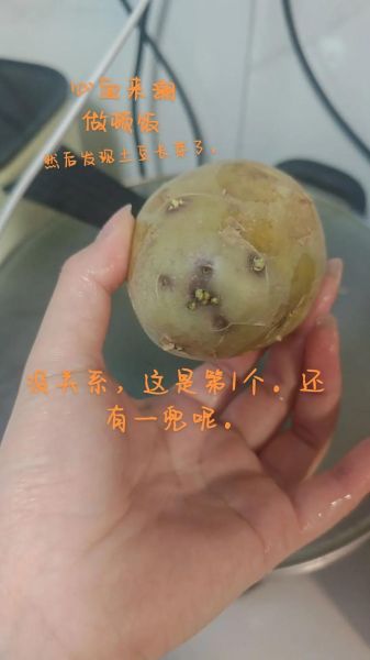 轻微发芽的土豆有毒吗_吃了会不会中毒-第3张图片-山城妙识 轻微发芽的土豆有毒吗_吃了会不会中毒-第3张图片-山城妙识