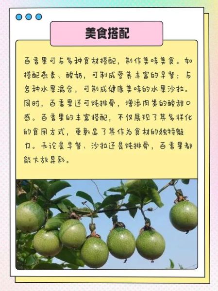 百香果减肥怎么吃_百香果减肥原理-第1张图片-山城妙识