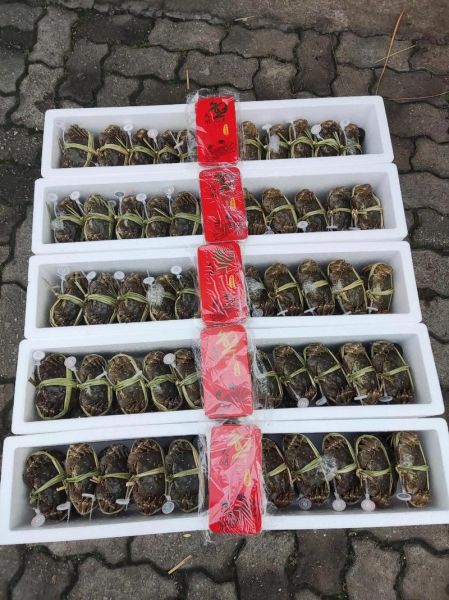 阳澄湖大闸蟹提货官网怎么预约_提货流程多久能收到-第1张图片-山城妙识 阳澄湖大闸蟹提货官网怎么预约_提货流程多久能收到-第1张图片-山城妙识