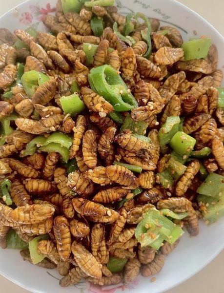 水煮蚕蛹煮多少分钟_蚕蛹煮多久才熟-第1张图片-山城妙识