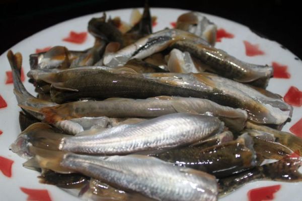 湟鱼好吃吗_青海湖裸鲤口感如何-第1张图片-山城妙识