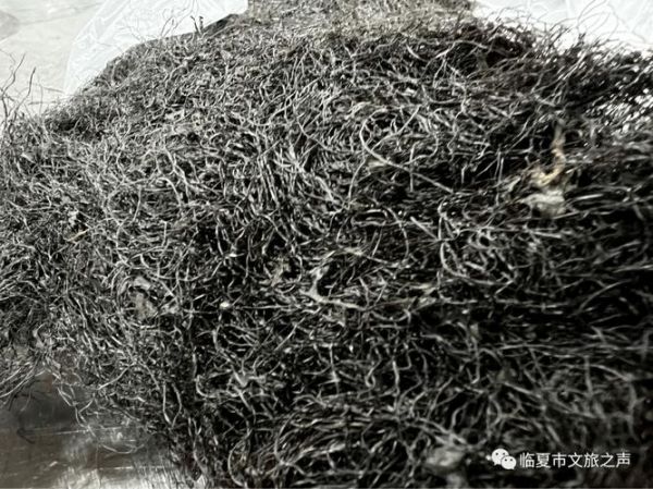 发菜有叶绿体吗_发菜光合作用机制-第2张图片-山城妙识 发菜有叶绿体吗_发菜光合作用机制-第2张图片-山城妙识