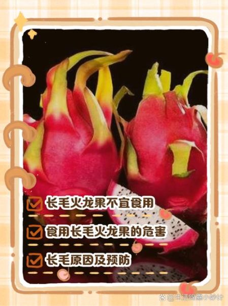 火龙果皮发霉了还可以吃吗_火龙果皮长毛了还能不能吃-第1张图片-山城妙识 火龙果皮发霉了还可以吃吗_火龙果皮长毛了还能不能吃-第1张图片-山城妙识