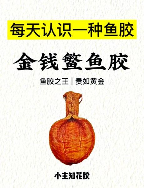 金钱鳘多少钱一斤_金钱鳘为什么这么贵-第1张图片-山城妙识 金钱鳘多少钱一斤_金钱鳘为什么这么贵-第1张图片-山城妙识