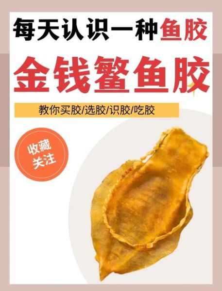 金钱鳘多少钱一斤_金钱鳘为什么这么贵-第2张图片-山城妙识 金钱鳘多少钱一斤_金钱鳘为什么这么贵-第2张图片-山城妙识