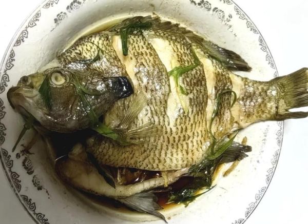 太阳鱼多少钱一斤_太阳鱼价格为什么波动大-第3张图片-山城妙识