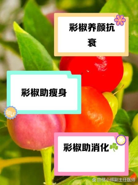 彩椒的热量是多少_减肥可以吃彩椒吗-第2张图片-山城妙识 彩椒的热量是多少_减肥可以吃彩椒吗-第2张图片-山城妙识