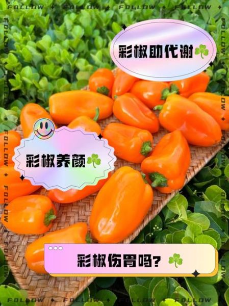 彩椒的热量是多少_减肥可以吃彩椒吗-第3张图片-山城妙识 彩椒的热量是多少_减肥可以吃彩椒吗-第3张图片-山城妙识