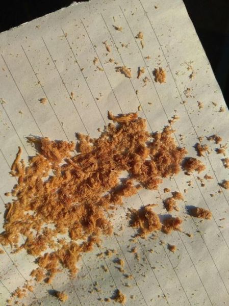 肉松里面真的有棉花吗_肉松和棉花的区别-第3张图片-山城妙识