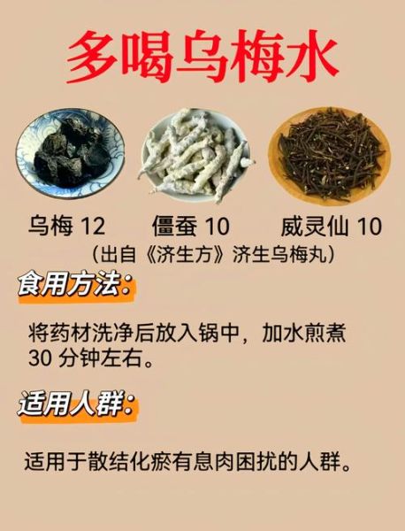 人参乌梅汤的功效与作用_人参乌梅汤适合什么人喝-第1张图片-山城妙识