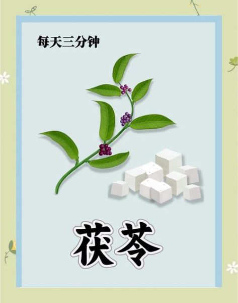 茯苓粉怎么吃最好_茯苓粉的正确吃法-第2张图片-山城妙识