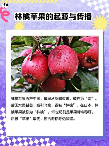pineapple是什么意思_pineapple中文翻译-第1张图片-山城妙识