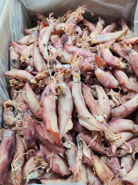 咸的小海兔怎么做好吃_咸小海兔去咸技巧-第2张图片-山城妙识 咸的小海兔怎么做好吃_咸小海兔去咸技巧-第2张图片-山城妙识