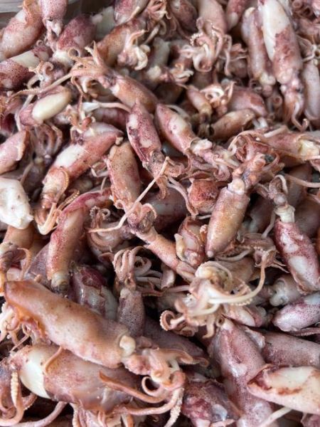 咸的小海兔怎么做好吃_咸小海兔去咸技巧-第3张图片-山城妙识 咸的小海兔怎么做好吃_咸小海兔去咸技巧-第3张图片-山城妙识