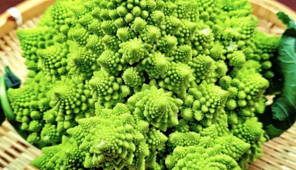 宝塔菜花怎么做好吃_宝塔菜花营养价值-第3张图片-山城妙识